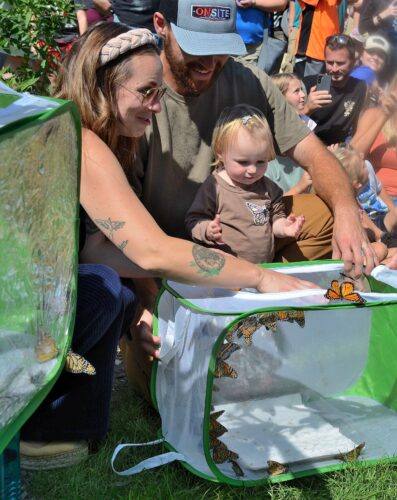 Flutter Fest event celebrates monarchs, other pollinators | News ...